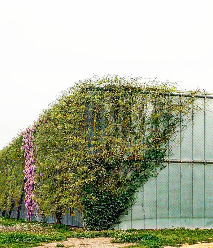 Students housing 912 - H ARQUITECTES